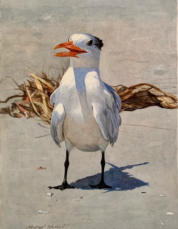 Michael Harrell Art - The Red Piano Art Gallery