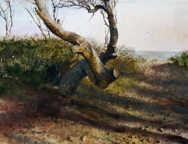 Mark Stewart Art - The Red Piano Art Gallery