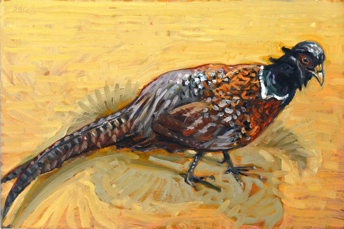 Leslie Shiels Art - The Red Piano Art Gallery